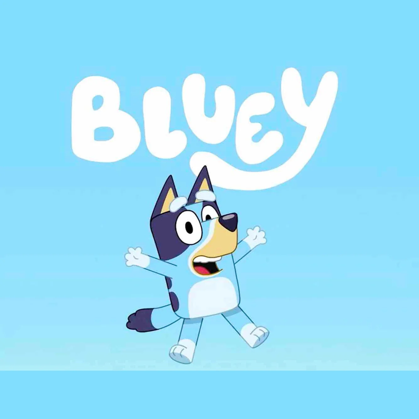 Bluey Toys - PoundToys